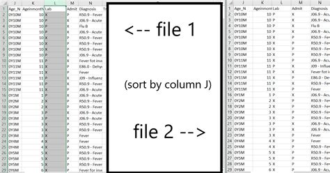 Sorting In Excel Causing Duplicate Value Information To Be Scrambled R Excel