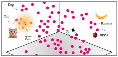 gen ai is raising the popularity of vector databases