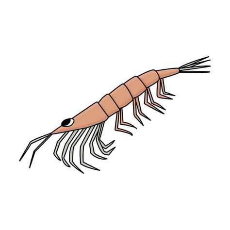 Krill Clipart