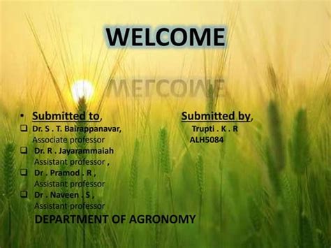 Multi Tier Cropping System Ppt