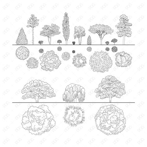 Autocad Tree Drawings