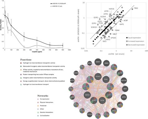 酿酒酵母中与顺铂耐药相关的新蛋白的鉴定 Applied Microbiology And Biotechnology X Mol