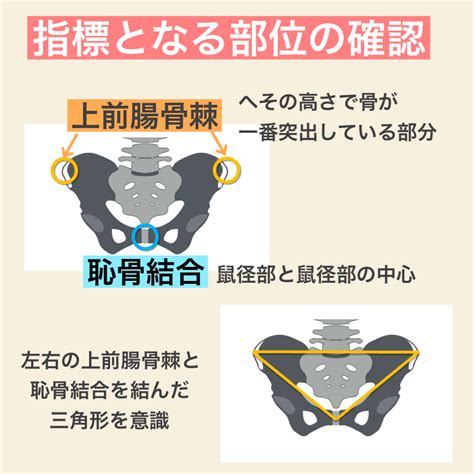 ＜ピラティスの基本姿勢＞腰椎ー骨盤のニュートラルポジション～臥位編～ Pilates Studio Kumagaya ピラティススタジオ熊谷