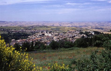 Castelnuovo Della Daunia