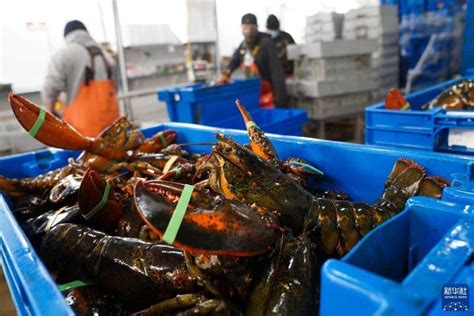 8591亿美元，2021年美国贸易逆差创历史新高进口额商品和服务消费品