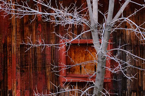 오래된 빨간 헛간 나무 벽 배경 여러 손톱과 흰색 나무가 나뭇 가지와 나뭇 가지와 질감 0명에 대한 스톡 사진 및 기타 이미지 0명 건축 건축물 Istock