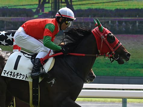 【サウジアラビアrc予想】そうそうたる馬が勝ち馬に名を連ねる出世レース！ 高期待値は前走新馬戦組 競馬ニュース Netkeiba