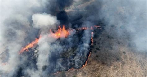 Збитки екології Миколаївщини через повномасштабну війну сягнули 2 3 млрд — дослідження