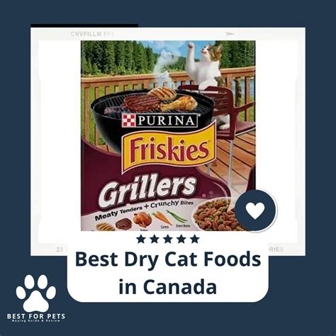 14 Best Dry Cat Foods In Canada In 2023