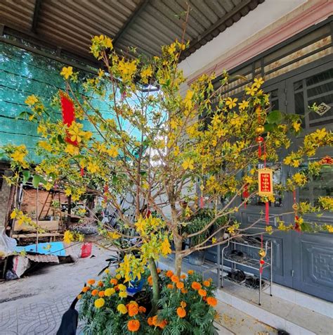 Cloud Nguyen On Linkedin Người Người Quay Lại Sài Gòn Khi Mai Còn Vàng