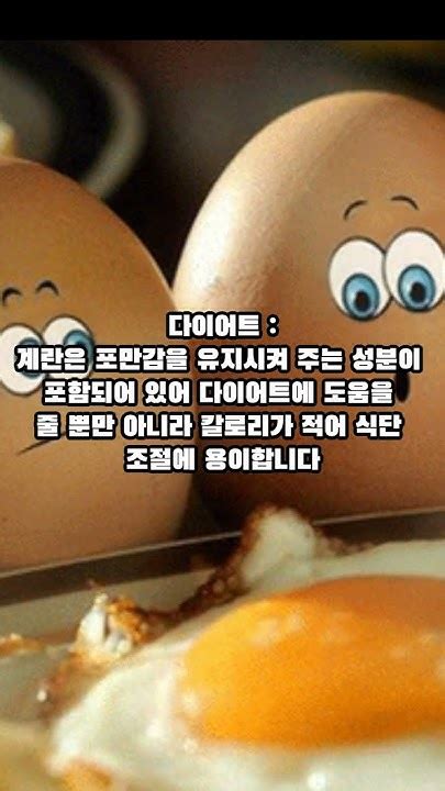 계란을 꼭 먹어야 하는 7가지 이유 Youtube