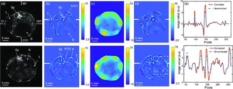 Two Dimensional Fluence Compensation In A Sacrificed Mouse A