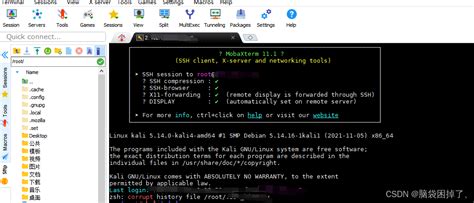 Kali上开启ssh远程登录服务kali Ssh远程登录 Csdn博客