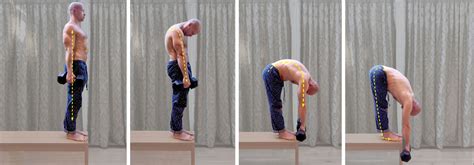 Gymnasticbodies