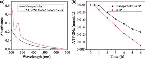 Figure 1 From Cyclodextrinpolyethylenimine Based Supramolecular