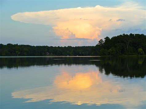 Natures Gallery Photograph By Norma Brock Fine Art America