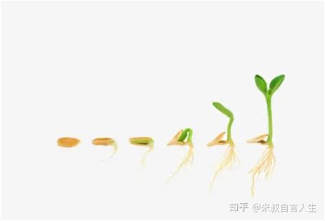 做一个心理能量充足的人 知乎
