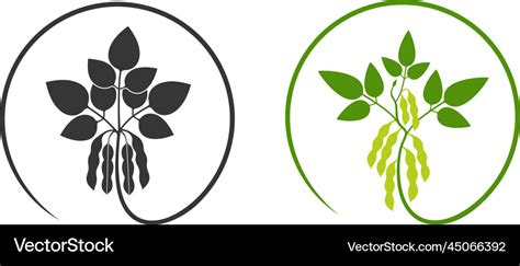 Soybean Royalty Free Vector Image Vectorstock