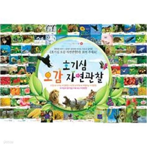 중고샵 호기심 오감 자연관찰 예스24