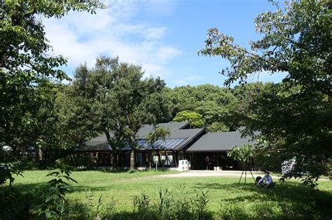 東京港野鳥公園へのアクセス方法と駐車場は園内の様子はどんな感じ 歩いてみたブログ