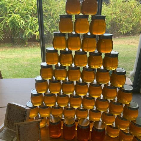 St Augustine Honey Mackay Qld