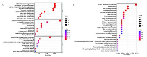 The Bubble Plot Of The Enriched Functional Pathways Of The Download Scientific Diagram