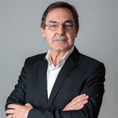 A Nossa Equipa Verlingue