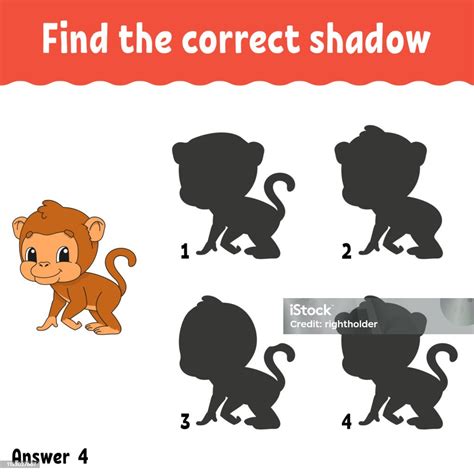 Ilustración De Encuentra La Sombra Correcta Educación Desarrollando