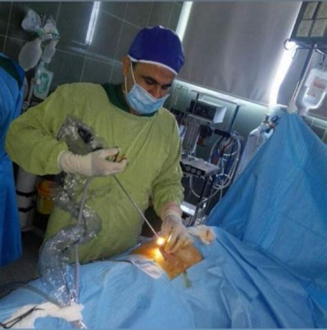 دکتر طهمورث نیکنام