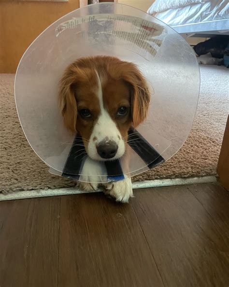 Ellen Melon Sex And Relationship Coach