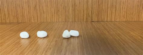 Sumobot — Rex Rdt 20 Documentation