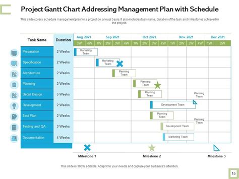 Schedule Management Plan Situation Analysis Revenue Generation