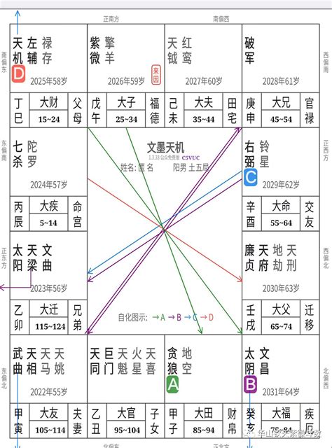 命例解析 紫微臺