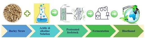 Schematic Structure Of Ethanol Production Procedure From Barley Straw