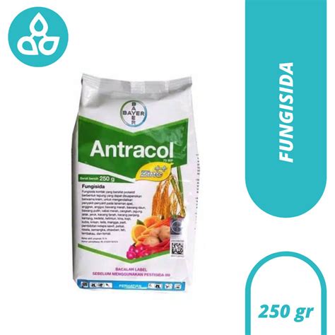Jual Fungisida Antracol 70 Wp Zinc Kemasan Pabrik 250 Gram Kota
