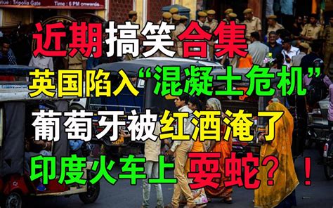 近期各国搞笑大合集葡萄牙被红酒淹了印度人火车上耍蛇中韩造船业实力大PK 阿柚不错哦 阿柚不错哦 哔哩哔哩视频