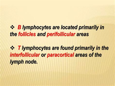 Anatomy Of Lymph Node By Hussein Ali Hussein Ppt
