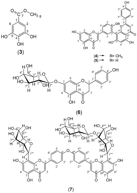 Structures Of Compounds 1 7 Isolated From The Ethyl Acetate Fraction