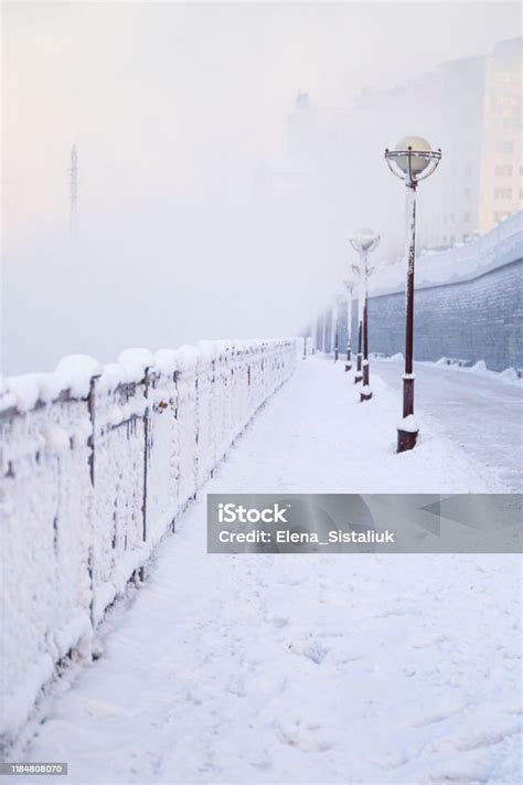 서리가 내린 나무의 겨울 풍경 도시 공원에서 하얀 눈 시베리아 바이칼 호수 근처 이르쿠츠크에서 눈으로 덮여 나무 매우 추운 겨울 0명에 대한 스톡 사진 및 기타 이미지