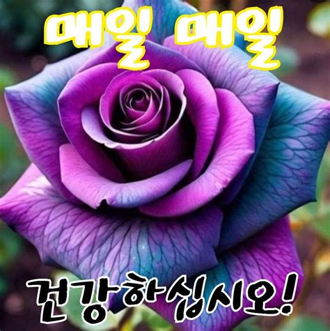 Nc 신구로점 끝까지읽어봐주세요 Nc신구로점은 맛있는 게 왜 이렇게 많을까요 까치화방을 갈까 우스블랑을 갈까 고민 할 때 모두 들려 구매한 후 집에서 즐겨보세요