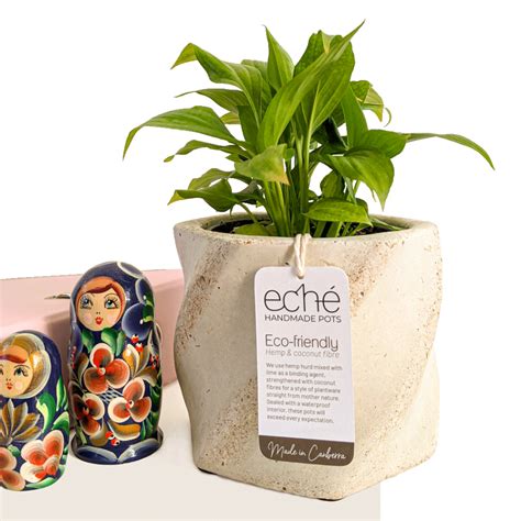 Eco Friendly Pots Eché
