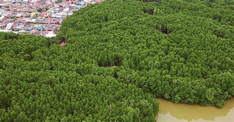 Tech Why Indonesia Moving Capital To Nusantara New Straits Times