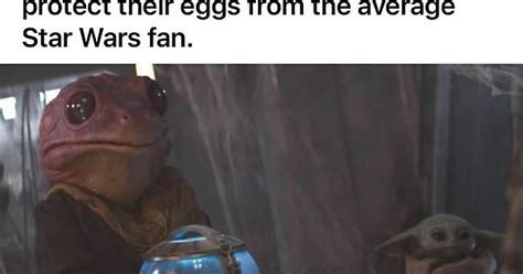 References Album On Imgur