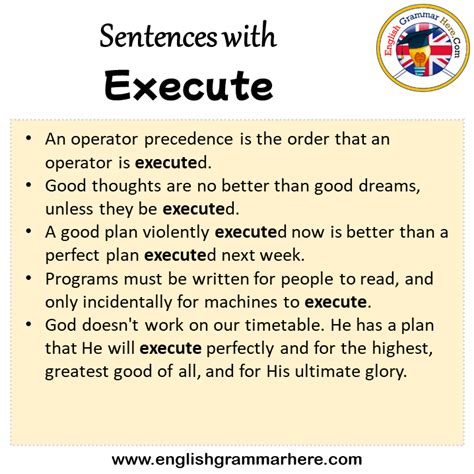 Sentences With Execute Execute In A Sentence In English Sentences For
