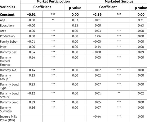 Equation Results For Market Participation And Marketed Surplus In Indonesia Download