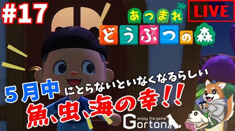 女子アナハプニングエロ 17 6月からいなくなる生物とりに行く【あつ森時間変更なし