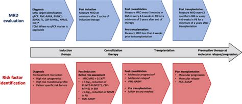Mrd Evaluation During Treatment Of Aml Patients According To Eln