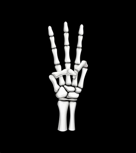 Skeleton Hand Forms A Three Fingered Gesture 47883622 Vector Art At