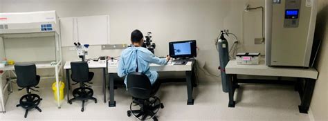 Innovative Reproductive Techniques For Preserving Marsupial Species Hidden Vale Research