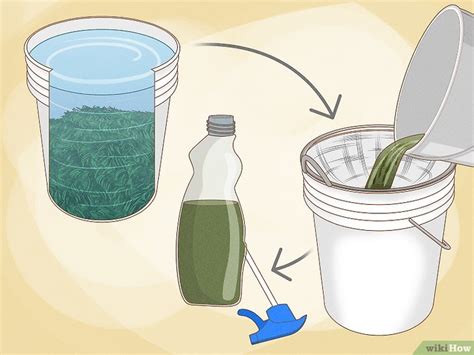 What To Do With Grass Clippings 12 Creative Ideas